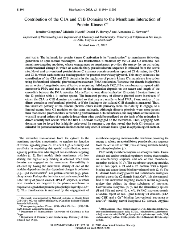 (PDF) Contribution of the C1A and C1B Domains to the Membrane Interaction of Protein Kinase C