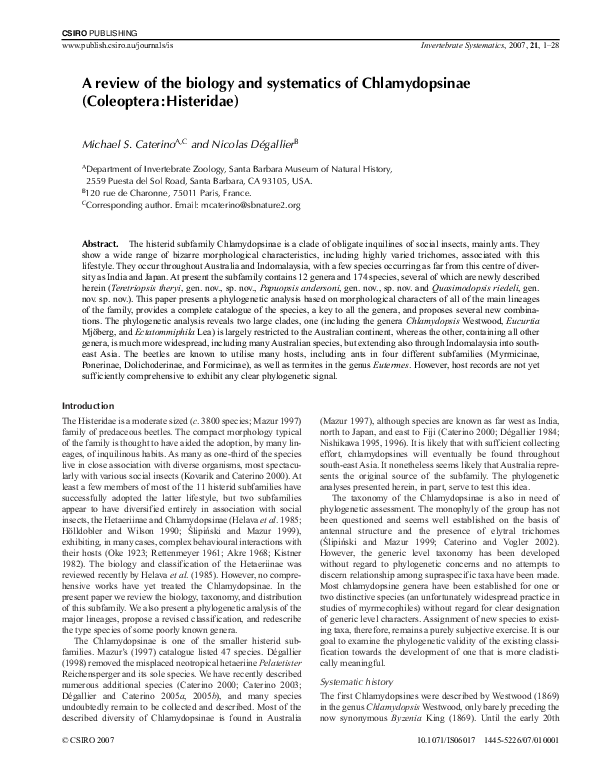 (PDF) A review of the biology and systematics of Chlamydopsinae ...