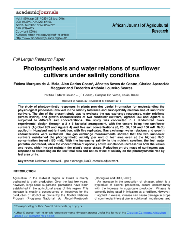 (PDF) Sunflower Photosynthesis under Salinity Stress