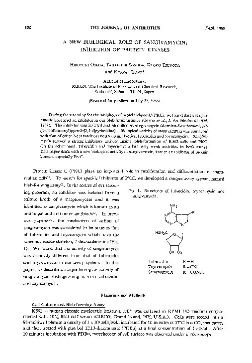 (PDF) A new biological role of sangivamycin; Inhibition of protein kinases