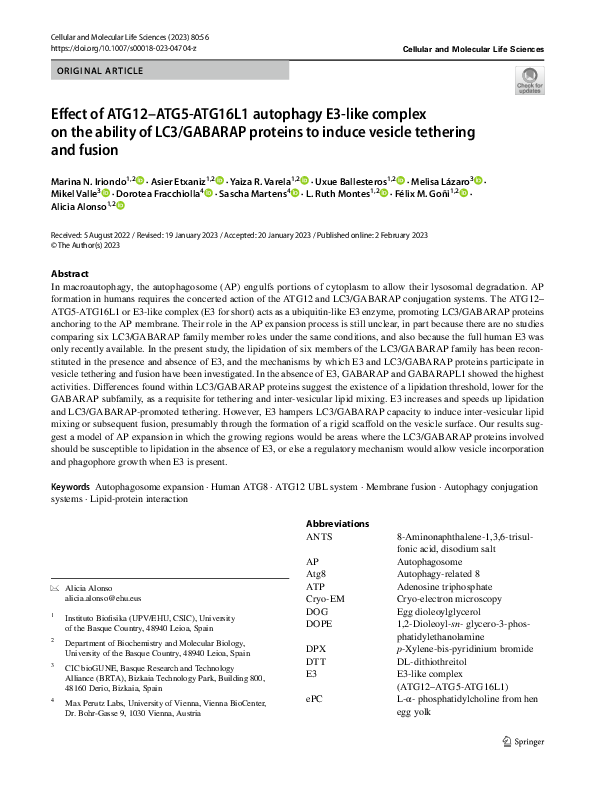 (PDF) Effect of ATG12–ATG5-ATG16L1 autophagy E3-like complex on the ability of LC3/GABARAP ...
