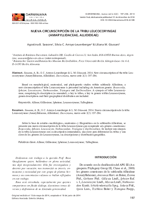 (PDF) New circumscription of the tribe Leucocoryneae (Amaryllidaceae ...