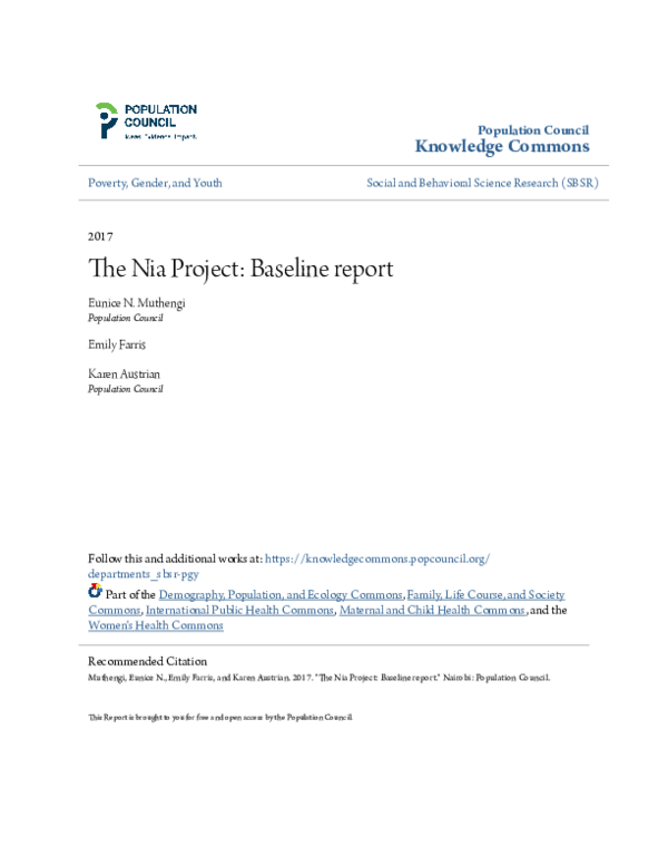 (PDF) The Nia Project: Baseline report