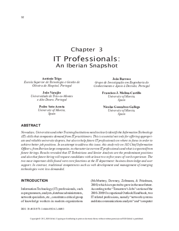 (PDF) IT Professionals
