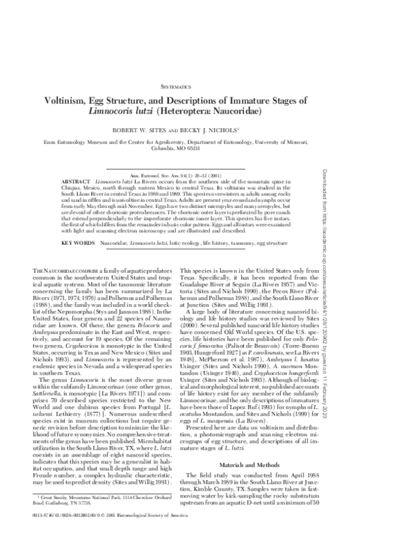 (PDF) Voltinism, Egg Structure, and Descriptions of Immature Stages of ...