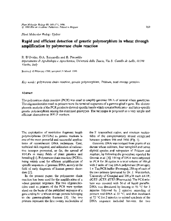 (PDF) Rapid and efficient detection of genetic polymorphism in wheat ...