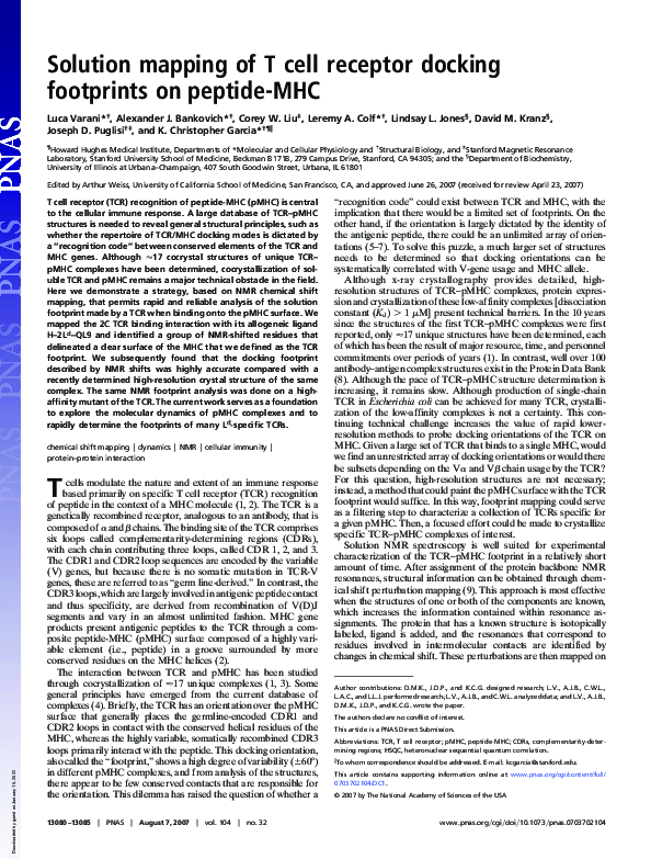 (PDF) Solution mapping of T cell receptor docking footprints on peptide-MHC