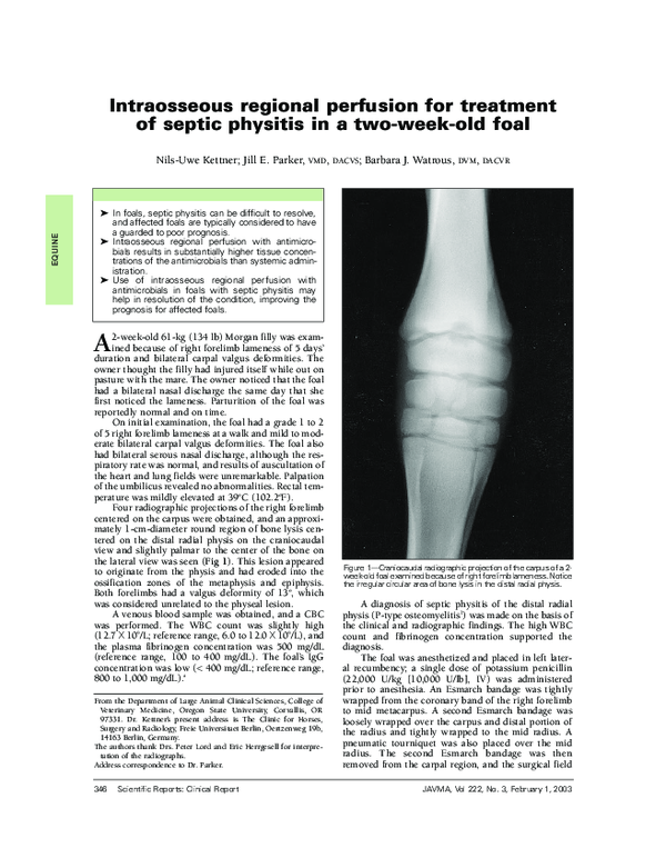 (PDF) Intraosseous regional perfusion for treatment of septic physitis ...