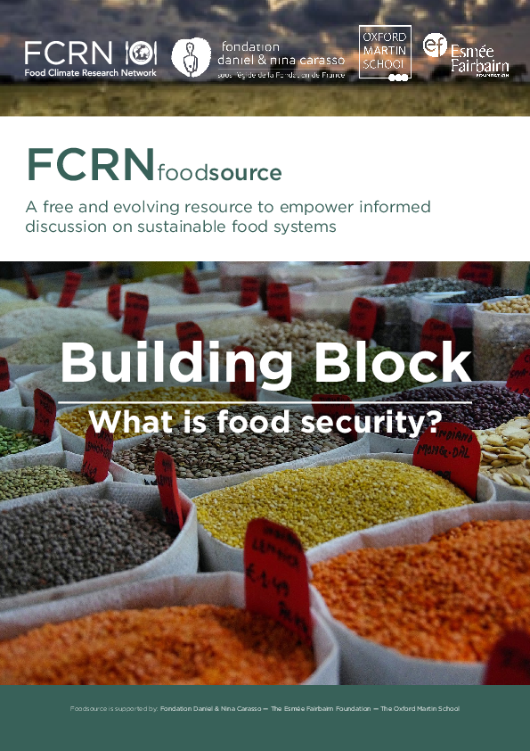 (PDF) What is food security?