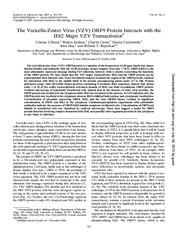 (PDF) The Varicella-Zoster Virus (VZV) ORF9 Protein Interacts with the IE62 Major VZV Transactivator