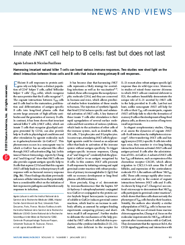(PDF) Innate iNKT cell help to B cells: fast but does not last