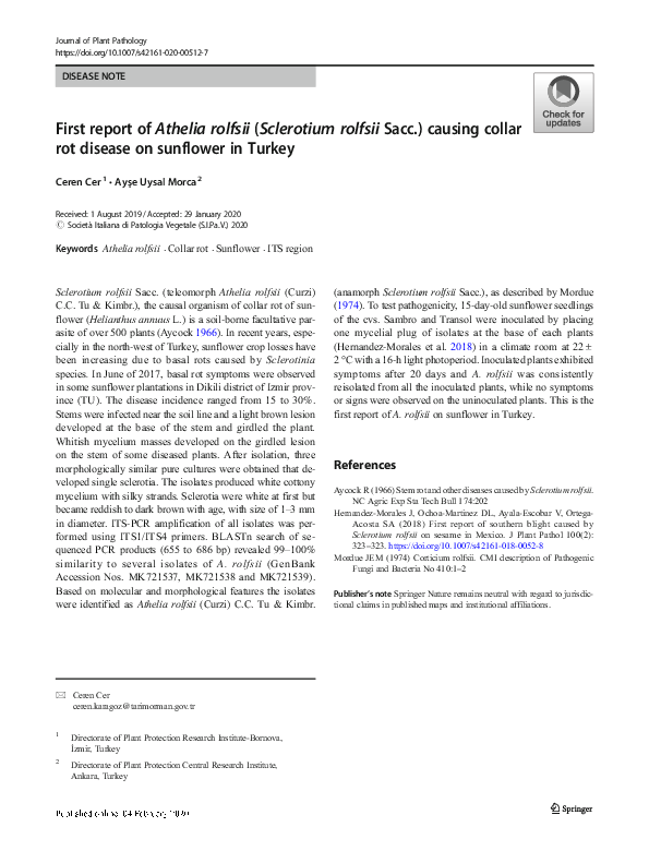 First report of Athelia rolfsii (Sclerotium rolfsii Sacc.) causing collar rot disease on ...
