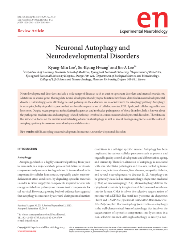 (PDF) Neuronal Autophagy and Neurodevelopmental Disorders
