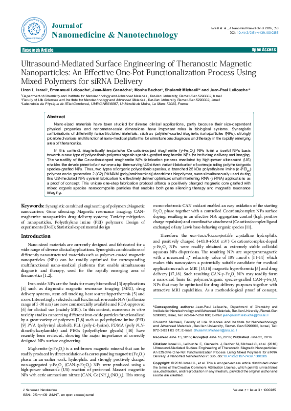 (PDF) Ultrasound-Mediated Surface Engineering of Theranostic Magnetic ...