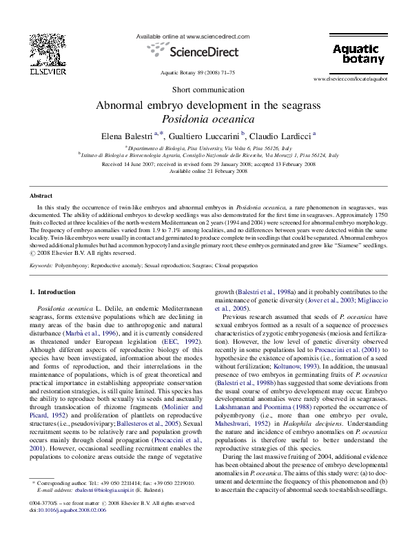 (PDF) Abnormal embryo development in the seagrass Posidonia oceanica