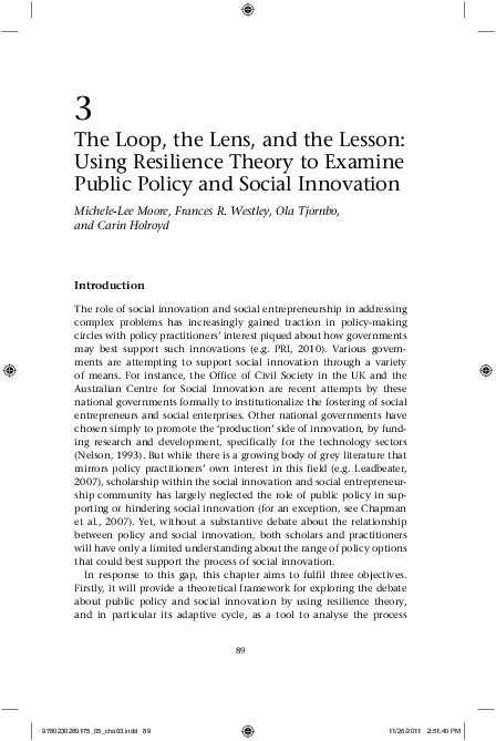 (PDF) The Loop, the Lens, and the Lesson: Using Resilience Theory to ...