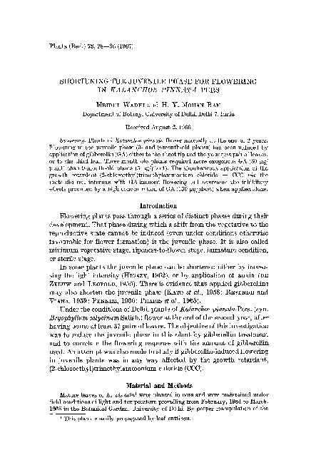 (PDF) Shortening the juvenile phase for flowering in Kalanchoe pinnata Pers