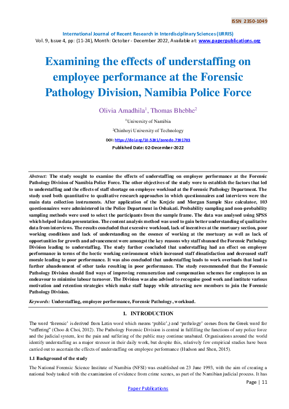 (PDF) Examining the effects of understaffing on employee performance at ...