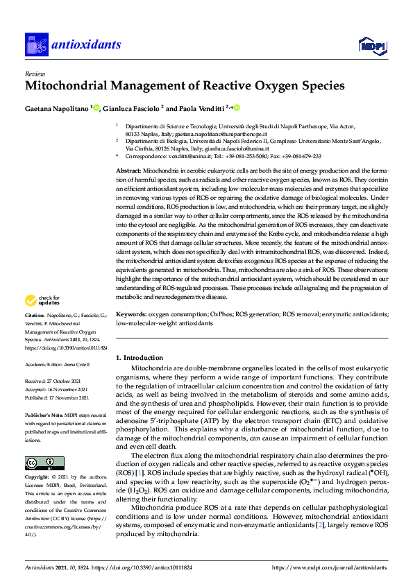 (PDF) Mitochondrial Management of Reactive Oxygen Species