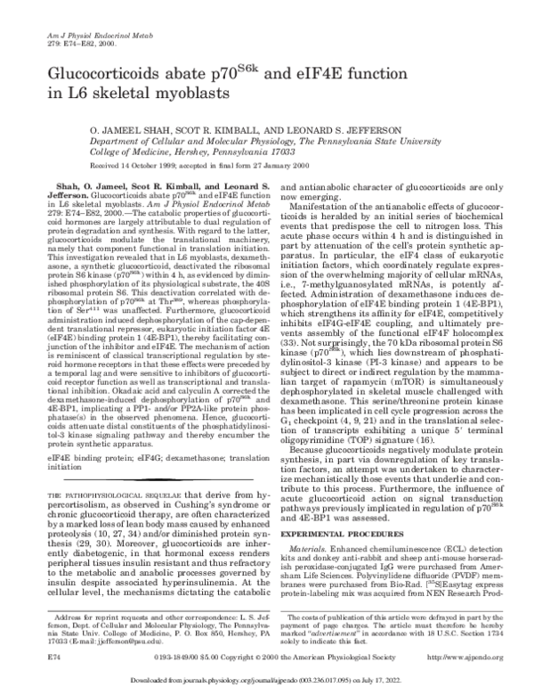 (PDF) Glucocorticoids abate p70S6kand eIF4E function in L6 skeletal myoblasts | Jameel Shah ...