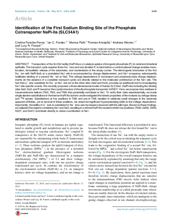 (PDF) Identification of the First Sodium Binding Site of the Phosphate ...