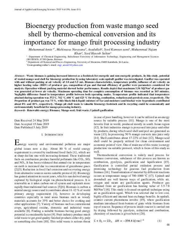 (PDF) Bioenergy production from waste mango seed shell by thermo ...