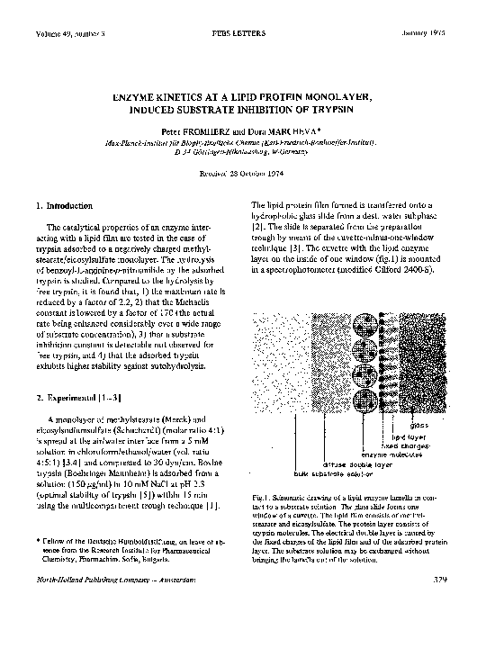 (PDF) Enzyme kinetics at a lipid protein monolayer, induced substrate inhibition of trypsin