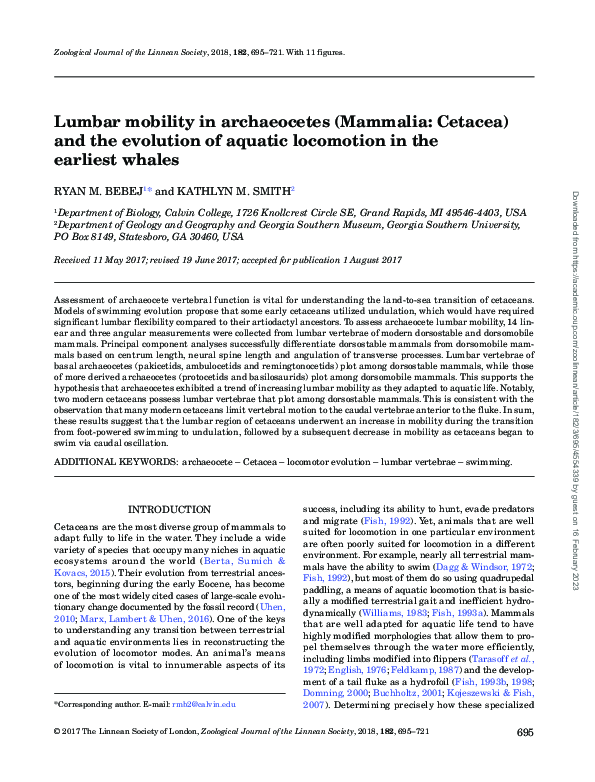 (PDF) Lumbar mobility in archaeocetes (Mammalia: Cetacea) and the ...