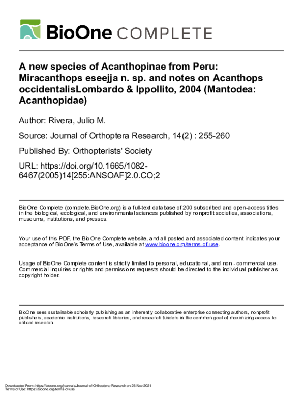 (PDF) A new species of Acanthopinae from Peru: Miracanthops eseejja n ...