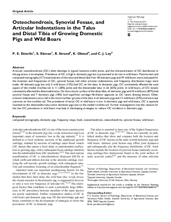 (PDF) Osteochondrosis, Synovial Fossae, and Articular Indentations in ...