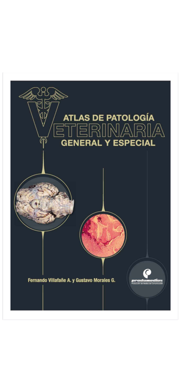 (PDF) Atlas de Anatomía Veterinaria