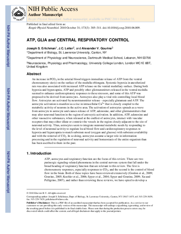 (PDF) ATP, glia and central respiratory control