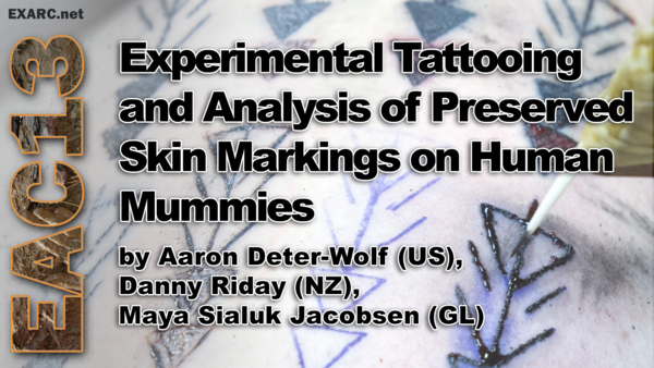 (PDF) Experimental Tattooing and Analysis of Preserved Skin Markings on ...