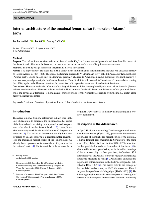(PDF) Internal architecture of the proximal femur: calcar femorale or ...