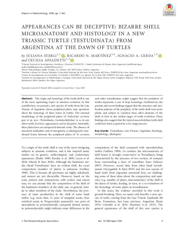 (PDF) Appearances can be deceptive: bizarre shell microanatomy and ...
