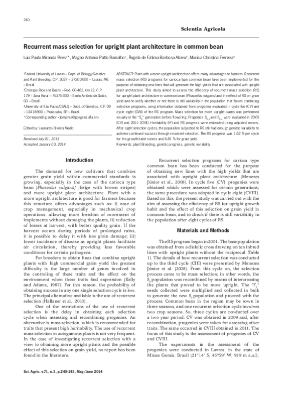 (PDF) Recurrent mass selection for upright plant architecture in common ...