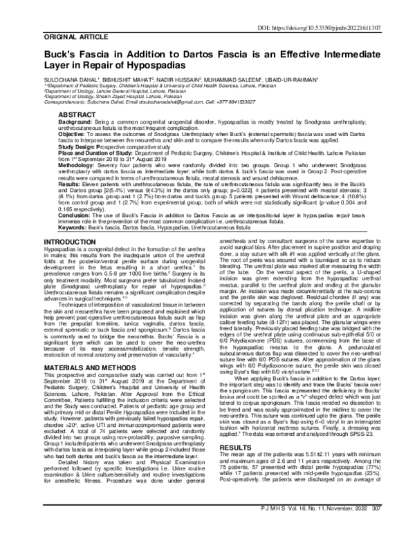 (PDF) Buck’s Fascia in Addition to Dartos Fascia is an Effective ...
