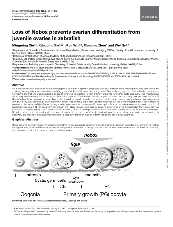 (PDF) Loss of Nobox prevents ovarian differentiation from juvenile ...