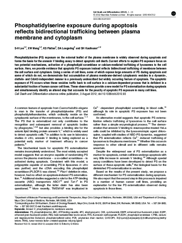 (PDF) Phosphatidylserine Exposure during Apoptosis Is a Cell-Type ...