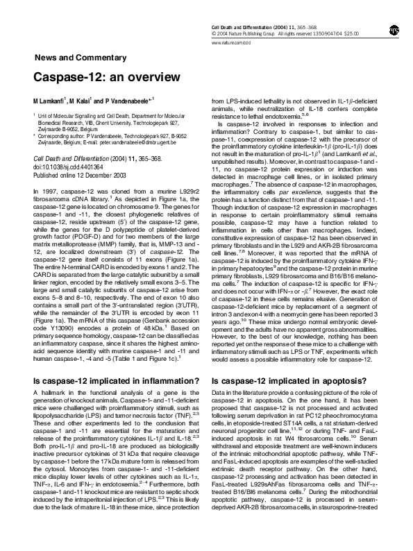 (PDF) Caspase-12: an overview