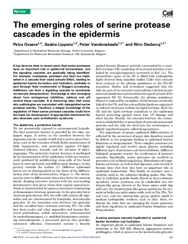 (PDF) The emerging roles of serine protease cascades in the epidermis