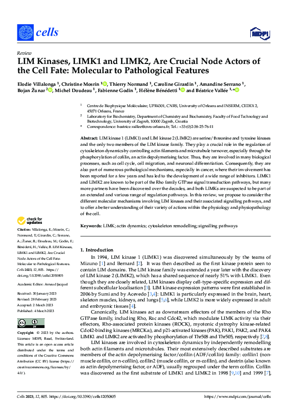 (PDF) LIM Kinases, LIMK1 and LIMK2, Are Crucial Node Actors of the Cell ...