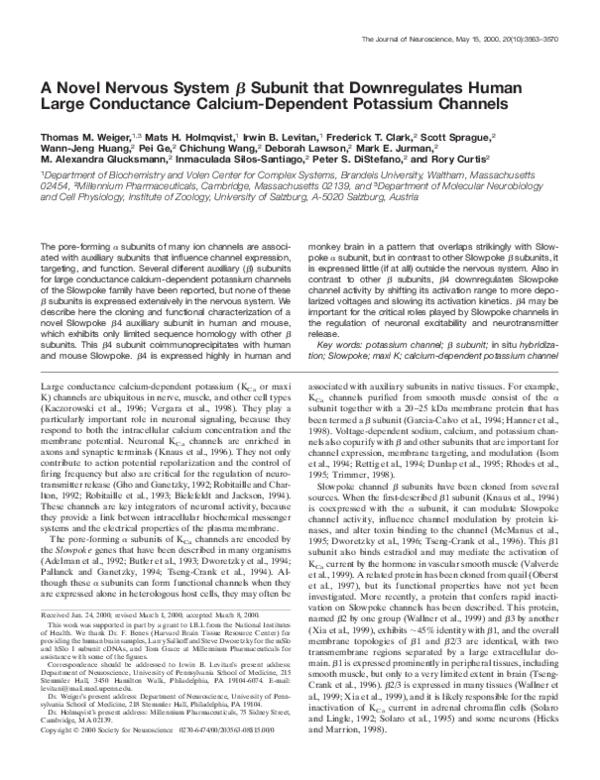 (PDF) A Novel Nervous System β Subunit that Downregulates Human Large ...
