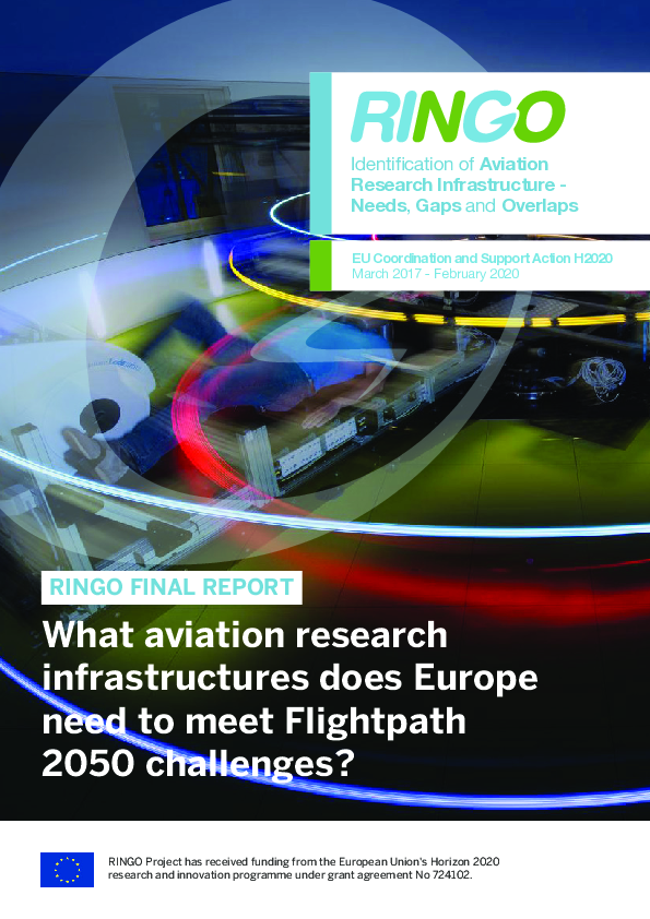 (PDF) Ringo Final Report | Paola Lanzi - Academia.edu