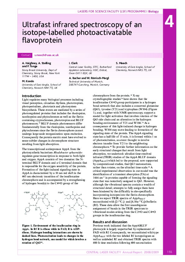 (PDF) Ultrafast Infrared Spectroscopy of an Isotope-Labeled ...
