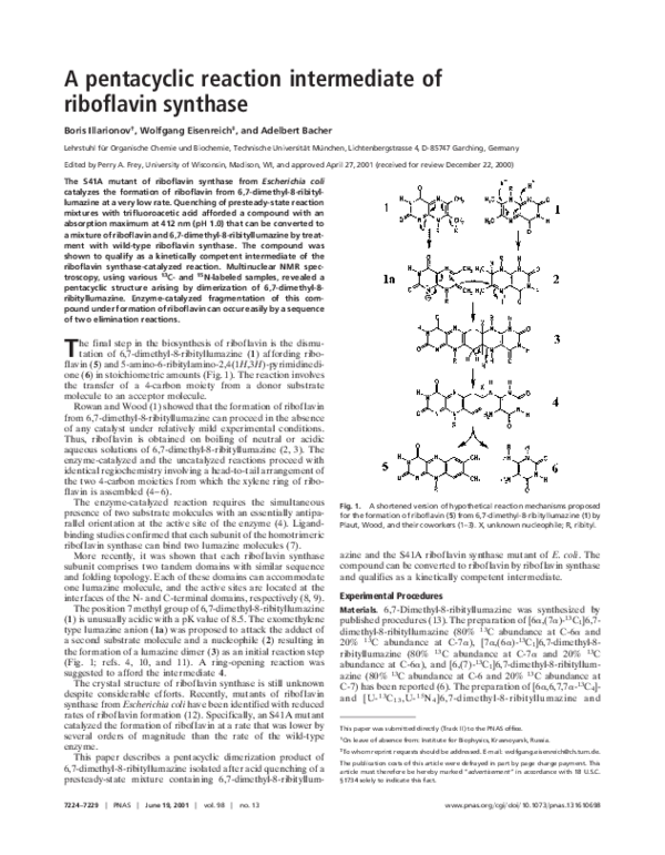 (PDF) A pentacyclic reaction intermediate of riboflavin synthase
