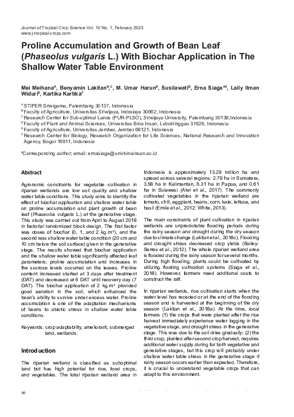 (PDF) Proline Accumulation and Growth of Bean Leaf (Phaseolus vulgaris ...