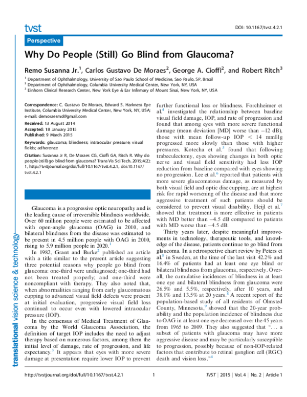 (PDF) Why Do People (Still) Go Blind from Glaucoma?