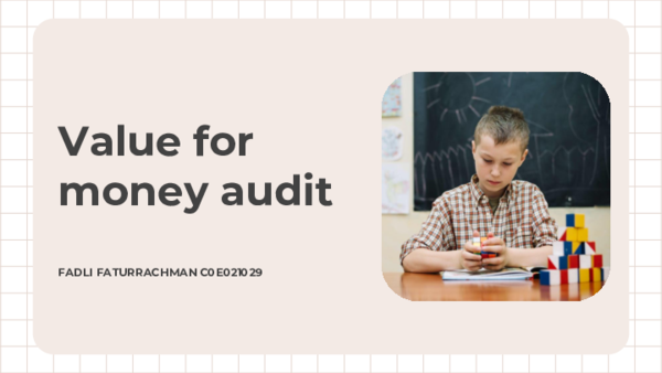 (PDF) Ppt value for money audit