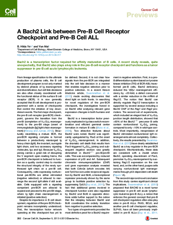 (PDF) A Bach2 Link between Pre-B Cell Receptor Checkpoint and Pre-B ...